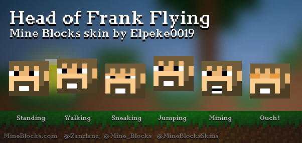 Mine Blocks - "Head of Frank Flying" skin by Elpeke0019